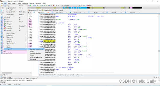 Pwn patch用法-CSDN博客