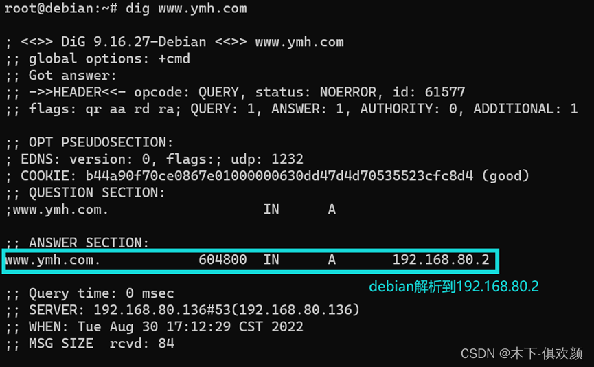 Linux中bind9的view（视图解析）配置示例与注意事项_linux中view inside-CSDN博客