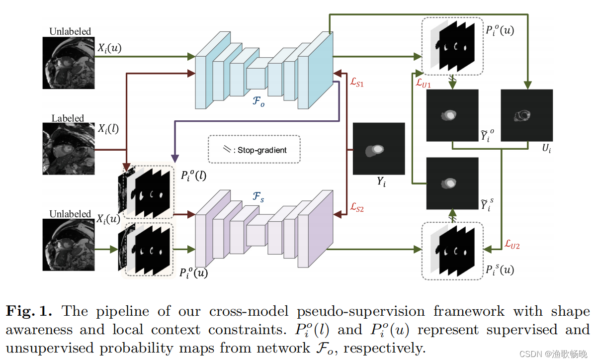 《Semi-supervised Medical Image Segmentation Using Cross-Model Pseudo-Supervision with Shape ...