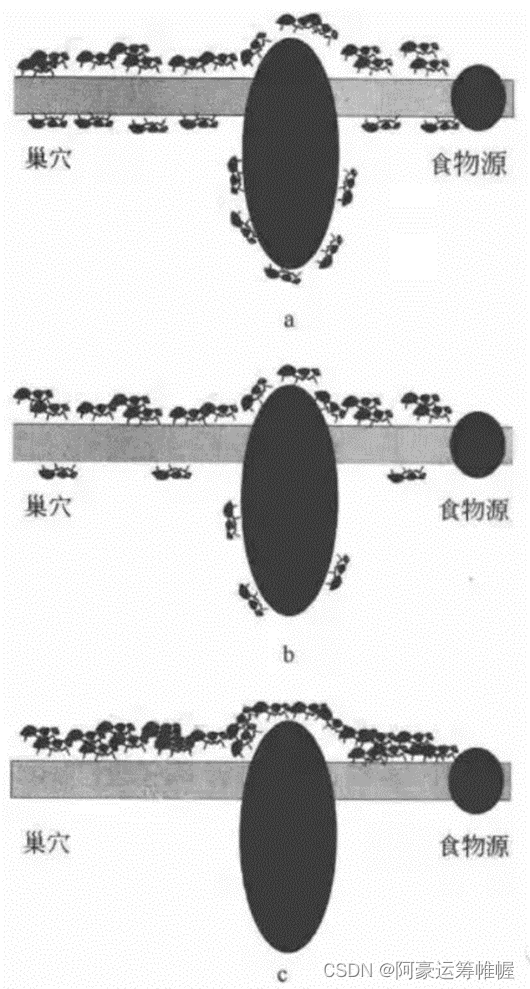 蚁群算法求解TSP_蚁群算法tsp问题-CSDN博客