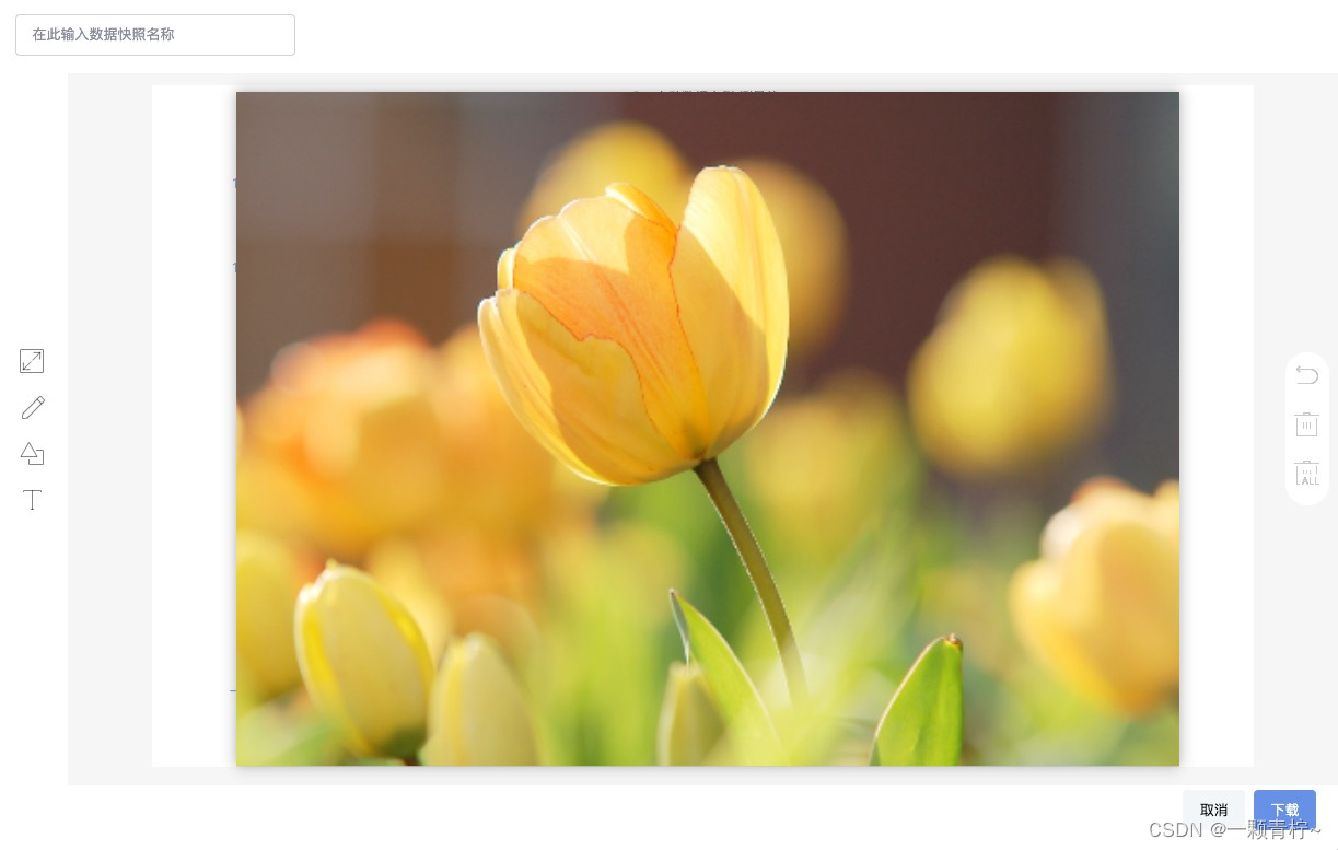 Vue中使用tui Image Editor图片编辑组件 Csdn博客 