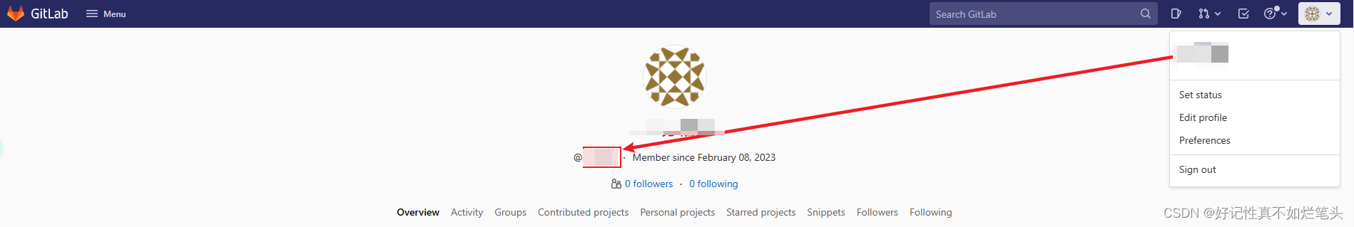 gitlab用personal access token推拉代码_git lab使用access token git push-CSDN博客