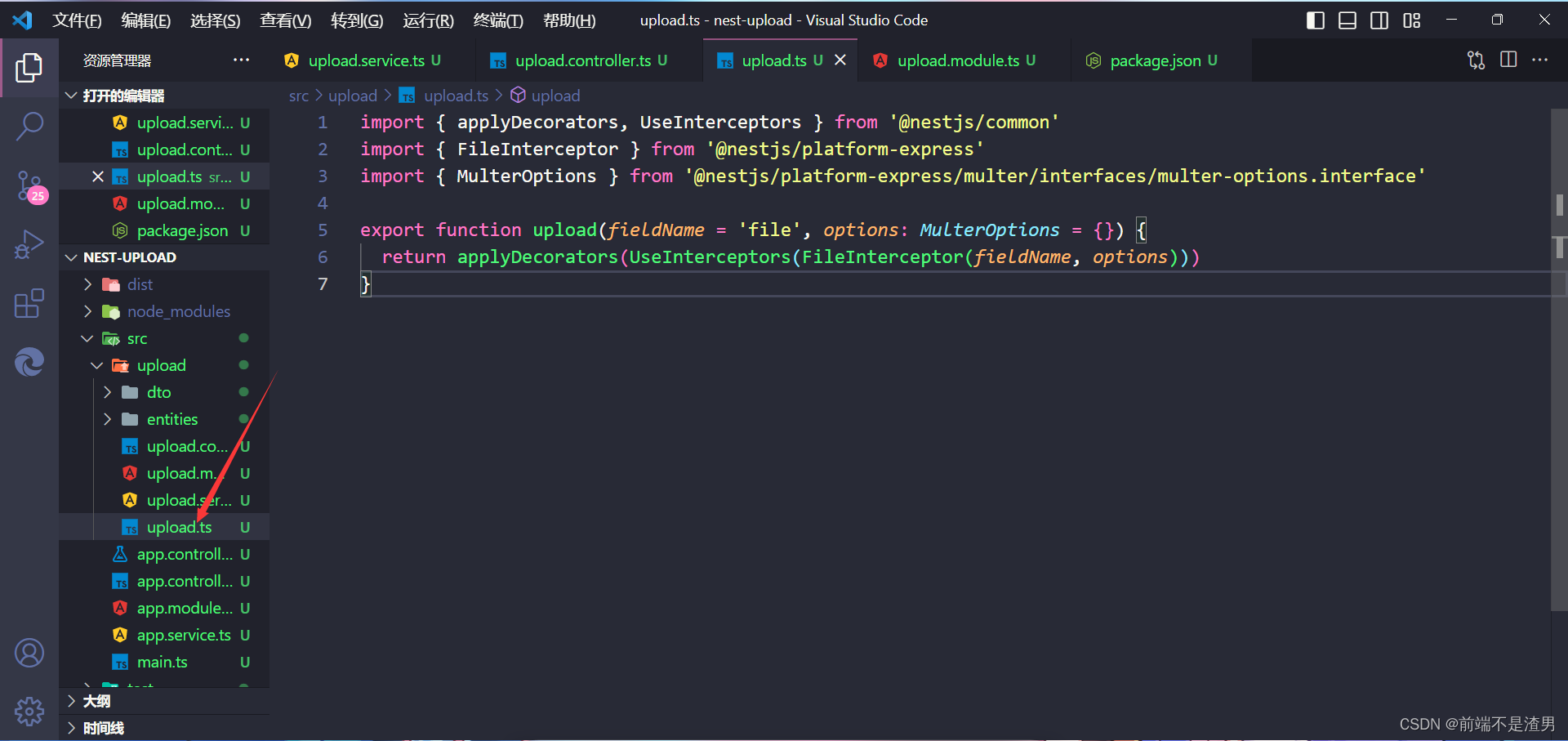 一文带你弄懂nest.js文件上传_nestjs 文件上传-CSDN博客