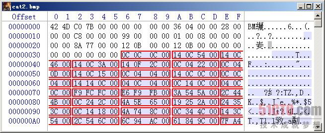 BMP格式详解-CSDN博客