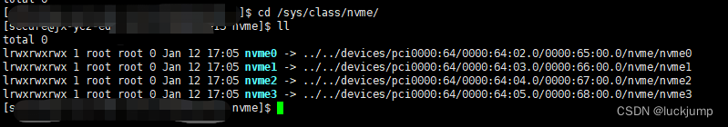 linux服务器修改磁盘numa_node的方法_numa磁盘-CSDN博客