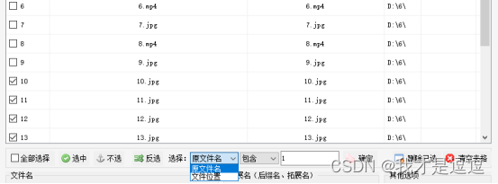 文件管理专家一键复制与分类大量文件的艺术,批量改文件名的提效办公软件 Csdn博客