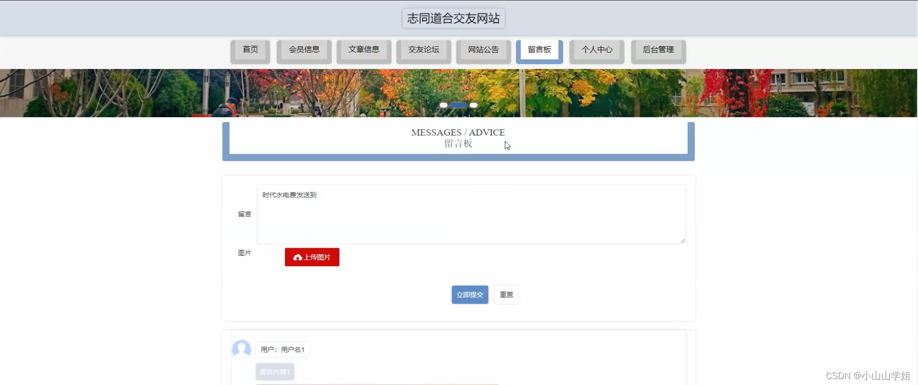 springboot毕设项目志同道合交友网站2x7r5（java+VUE+Mybatis+Maven+Mysql）_springboot相亲交友-CSDN博客