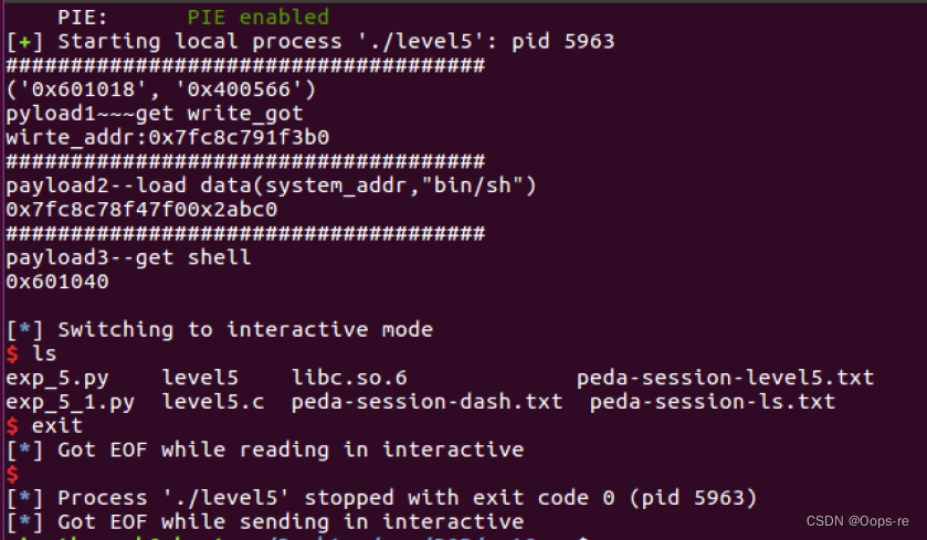 wikiCTF-pwn-ret2csu_csu 的 gadgets-CSDN博客