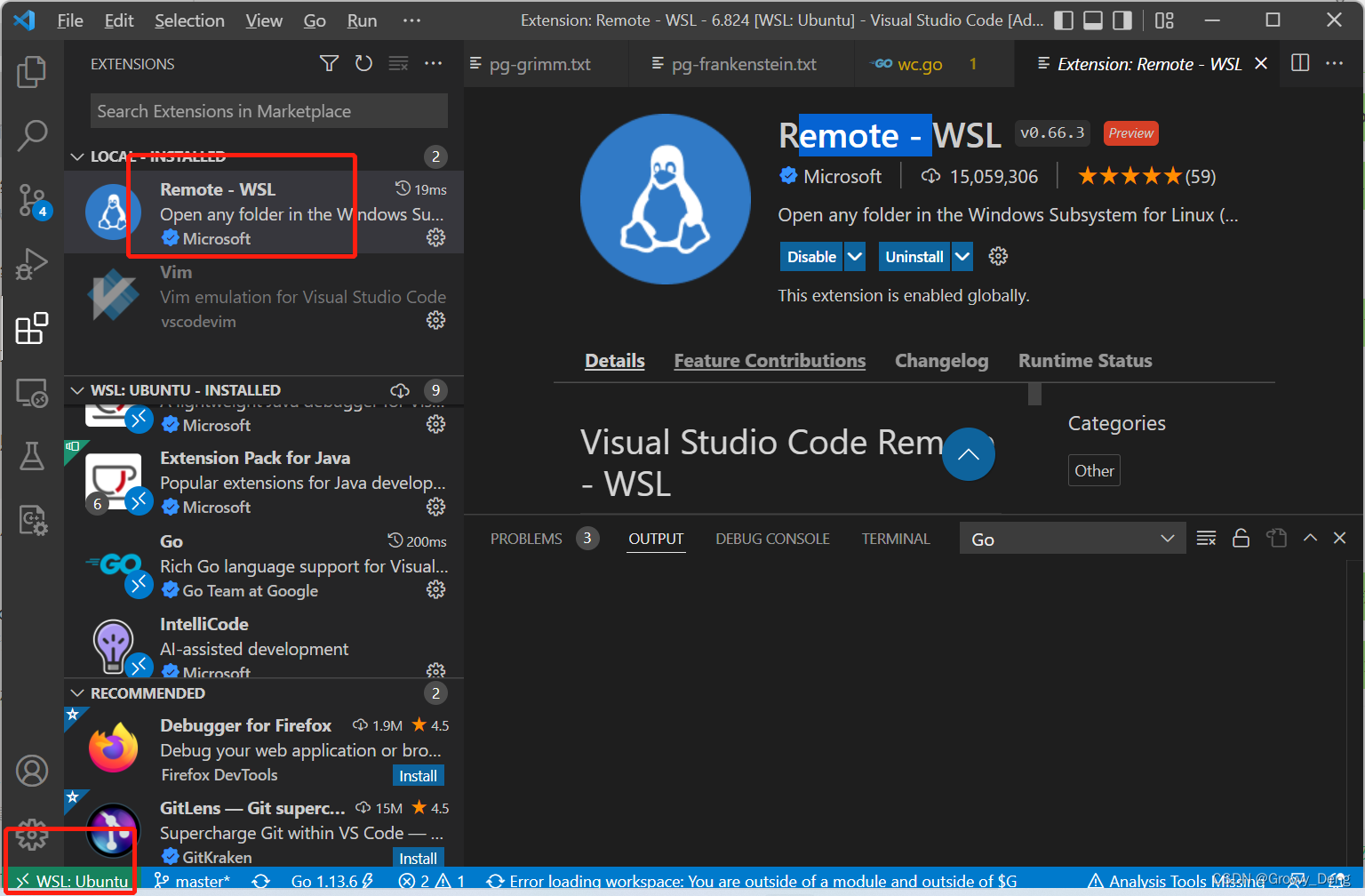 MIT6.824环境搭建:wls+vs code_cannot load plugin wc.so-CSDN博客