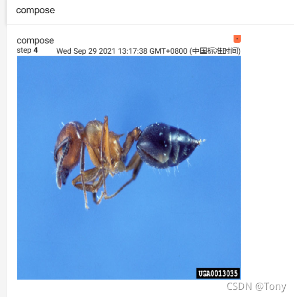 Pytorch学习笔记 Tensorboard和transform的使用 Tensorboard和transform是什么 Csdn博客