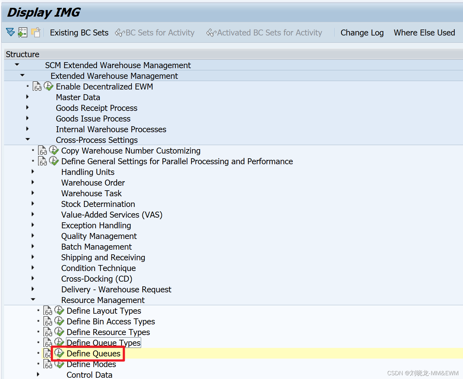 SAP EWM-拣货队列操作演示实例_ewm 操作手册-CSDN博客