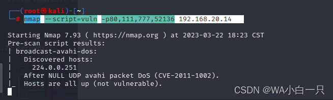 01_渗透靶场NullByte：namp使用，多姿势SQL注入，提权-CSDN博客