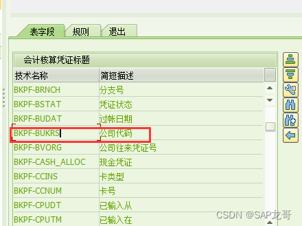 SAP-FI-会计凭证确认OB28_sap ob28-CSDN博客