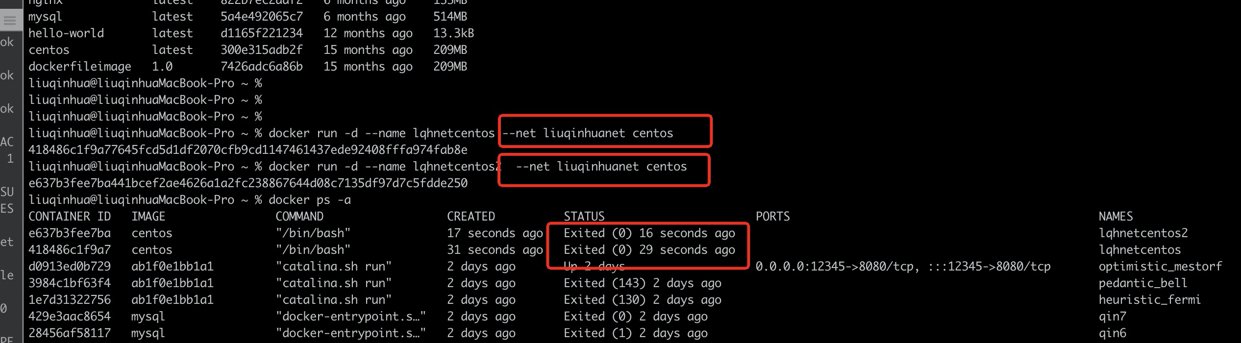 docker学习_用中文描述一个完整的docker包含哪四部分-CSDN博客