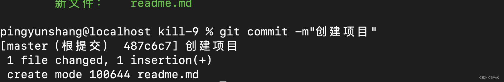 Kill-9 Springboot+Vue 1.配置git环境与项目创建_vue+springboot项目git-CSDN博客