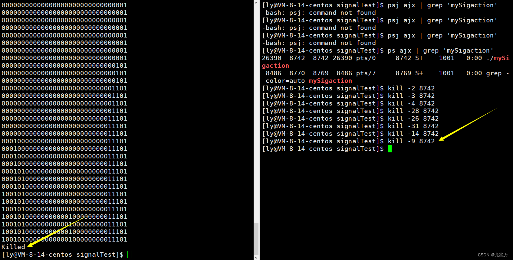 Linux —— 信号_linux查看所有信号-CSDN博客