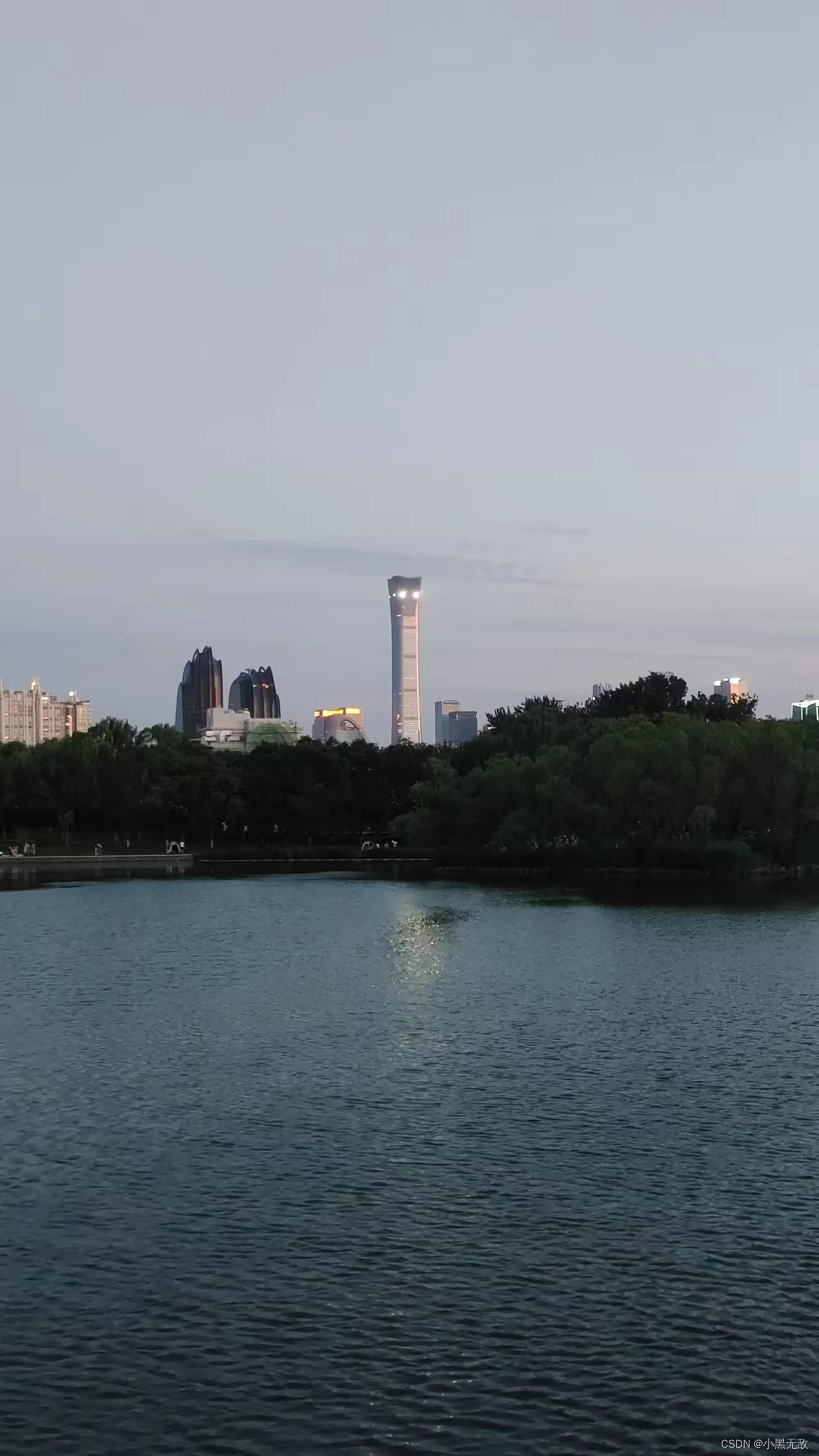 小黑眼睛开始恢复每天点四次眼药，跟逗兄吃北新桥拉面散步跟随徐姐北工大图书馆小坐的leetcode之旅剑指 Offer 53 Ii 0～n 1中缺失的数字 Csdn博客