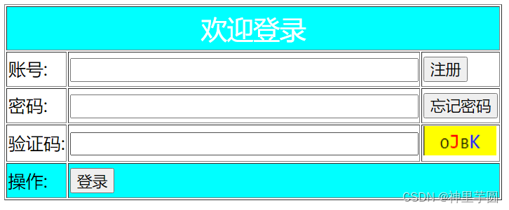 纯HTML编写页面测试_html测试页面-CSDN博客