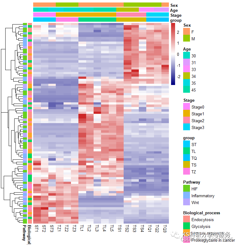 热图pheatmap 热图3：热图行列分组信息注释_pheatmap 列注释-CSDN博客
