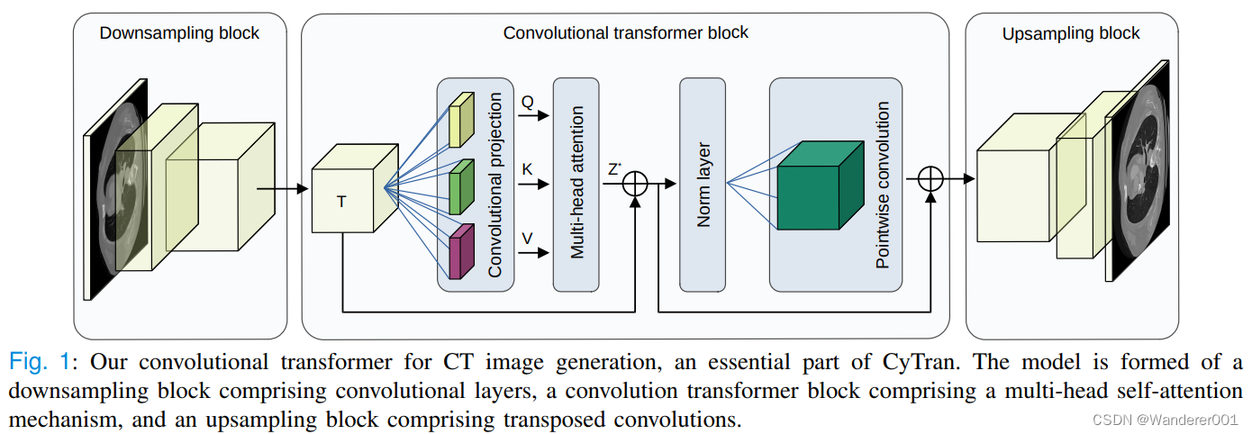 CyTran: Cycle-Consistent Transformers forNon-Contrast to Contrast CT Translation_cyclegan u-gat ...