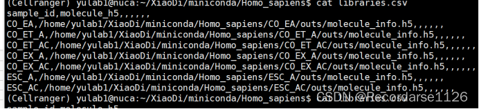 cellranger使用的初步探索:cellranger aggr(实验日记day4)-CSDN博客