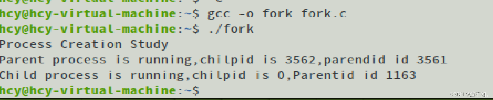 创建进程-fork()和vfork()_怎么用fork和vfork创建子进程-CSDN博客