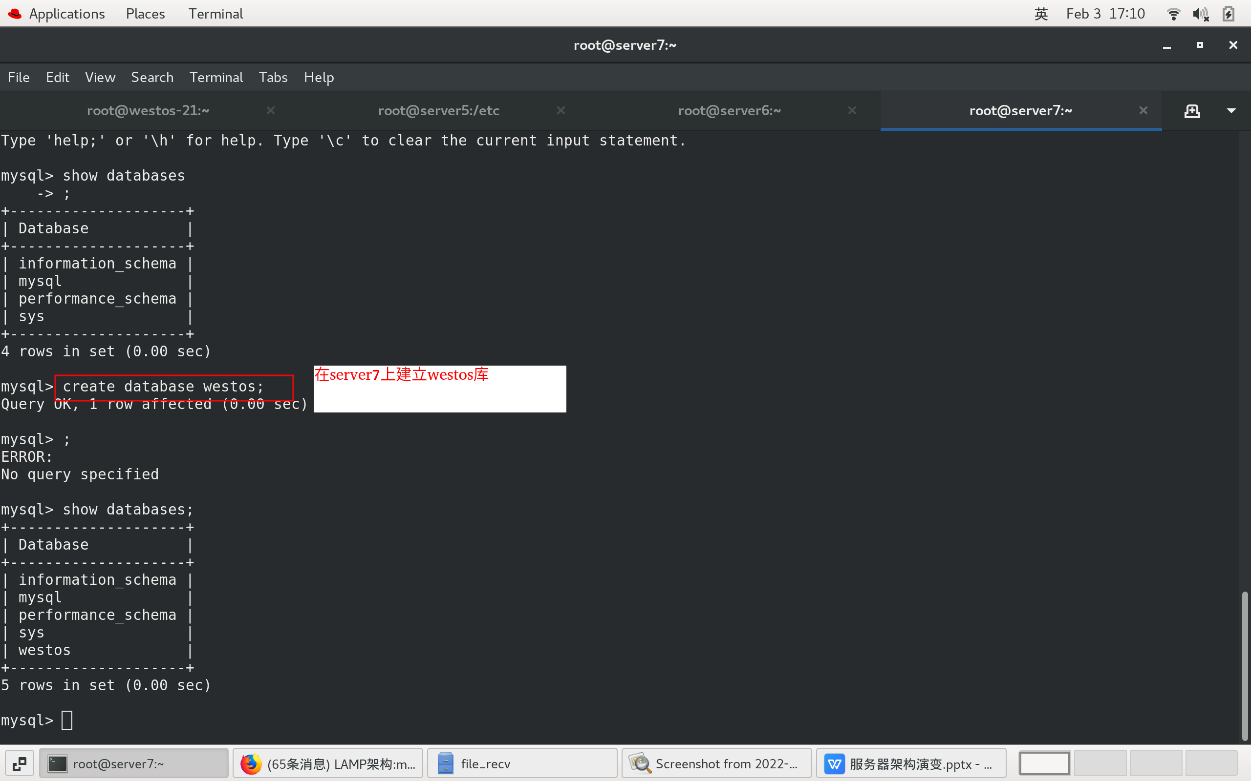 lamp架构之mysql的安装与部署_lamp mysql-CSDN博客