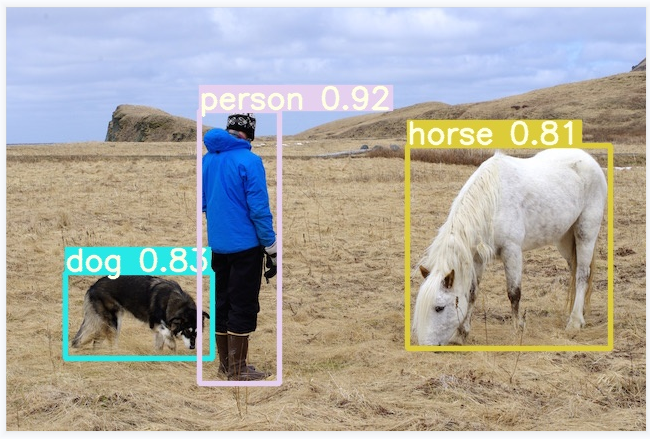 基于yolov5的模型量化(YOLOv5-Lite 测试)_yolov5模型量化_Killwaiter的博客-CSDN博客
