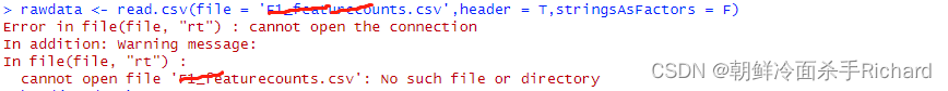 R语言：Error in file(file, “rt“) : cannot open the connection：已解决_error in file(file, "rt ...