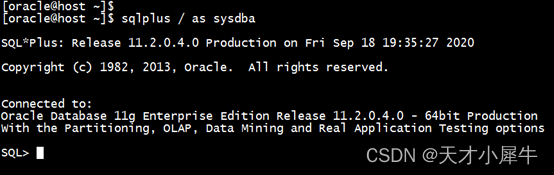 3 Oracle数据库在linux系统安装步骤oracle数据库linux安装配置教程 Csdn博客