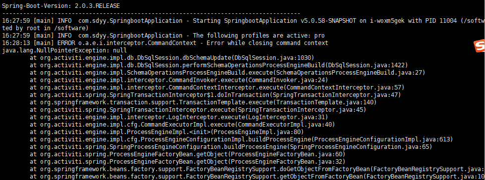 项目启动出现：“org.activiti.engine.impl.db.DbSqlSession.dbSchemaUpdate......“问题解决-CSDN博客