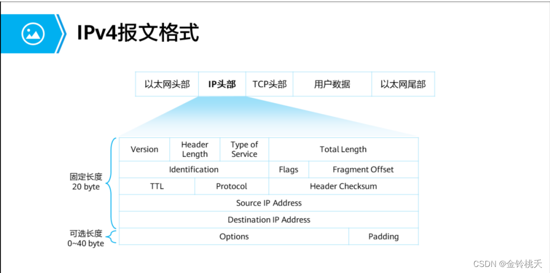 学习笔记之IPv4报文格式_ipv4头部的长度是可变的-CSDN博客