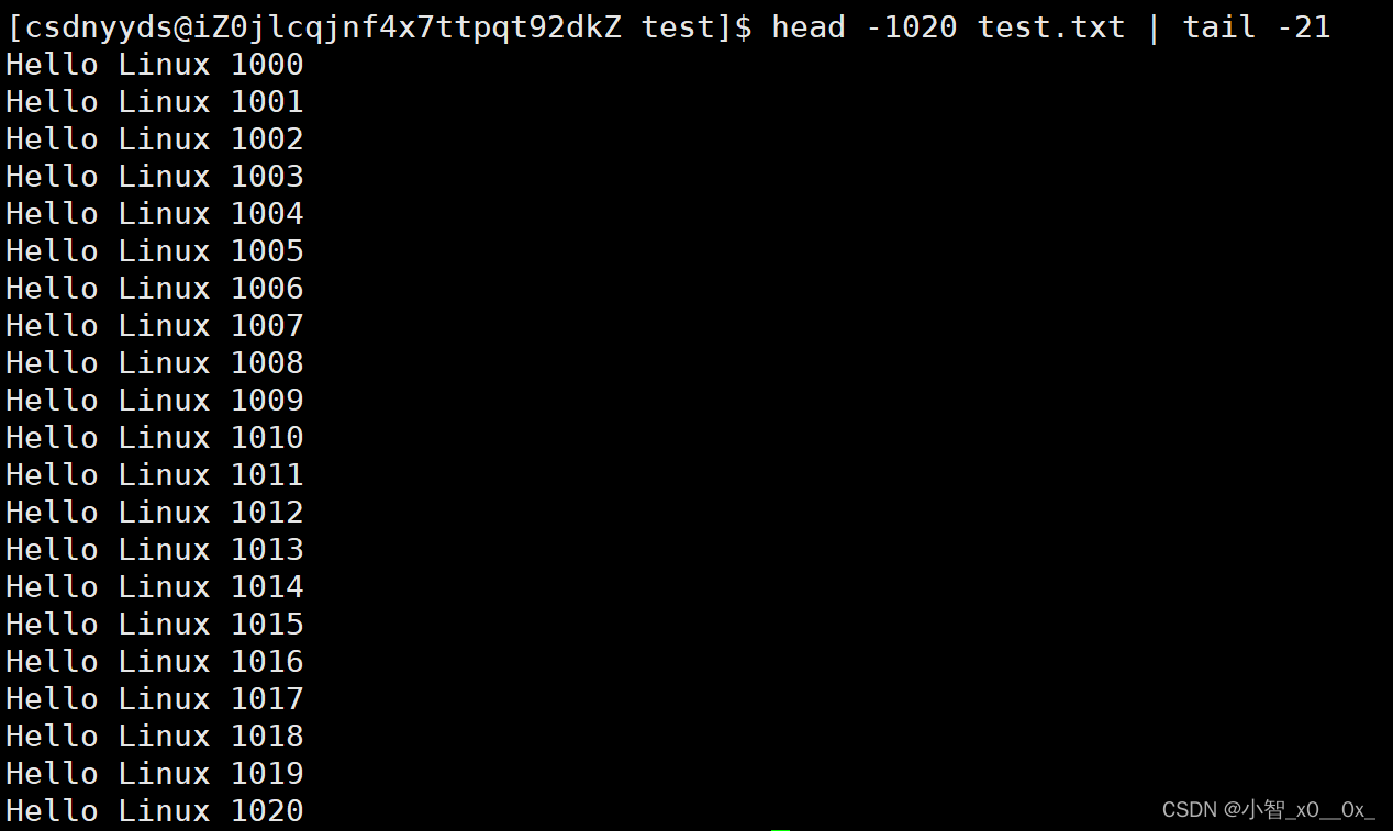 【Linux指令③】新手必须掌握的Linux指令_linux怎么往一个文件中写入10000行-CSDN博客