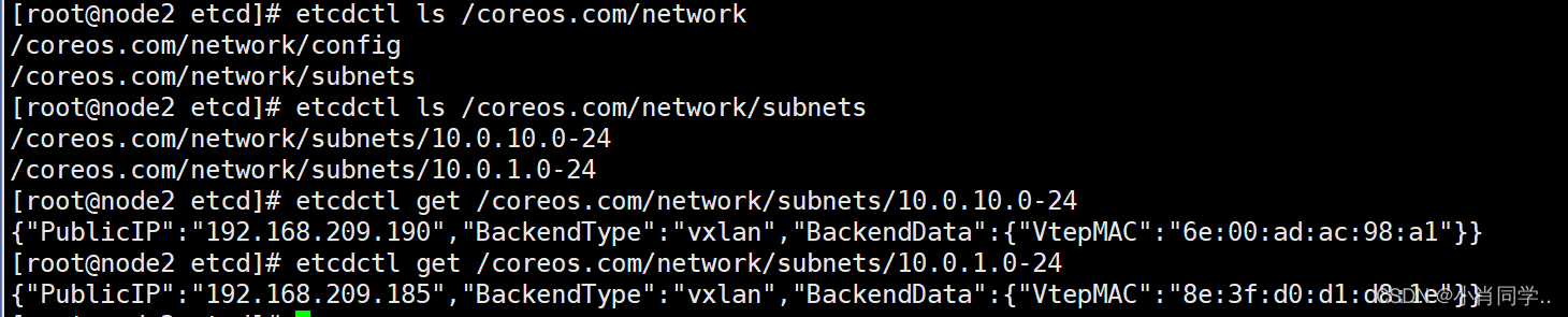 【云原生Docker】10-Docker网络-flannel介绍_docker flannel-CSDN博客