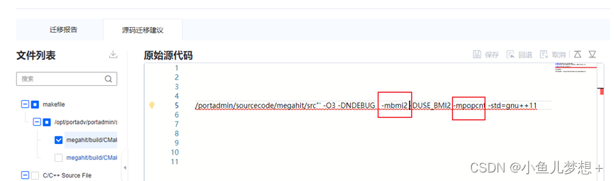 鲲鹏Devkit代码迁移工具课堂笔记—第三讲：《megahit 源码迁移》项目大作业解析_鲲鹏devkit修改完源代码点击保存,保存在哪了呢-CSDN博客