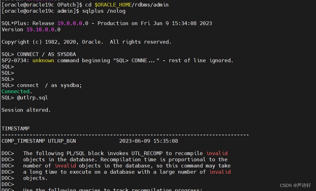 【oracle运维】oracle 19c 打补丁(p32218454)升级版本oracle19c最新补丁 Csdn博客
