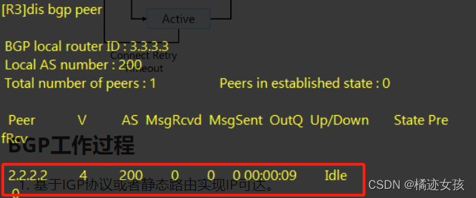 BGP基础配置+BGP路由发布_bgp配置-CSDN博客