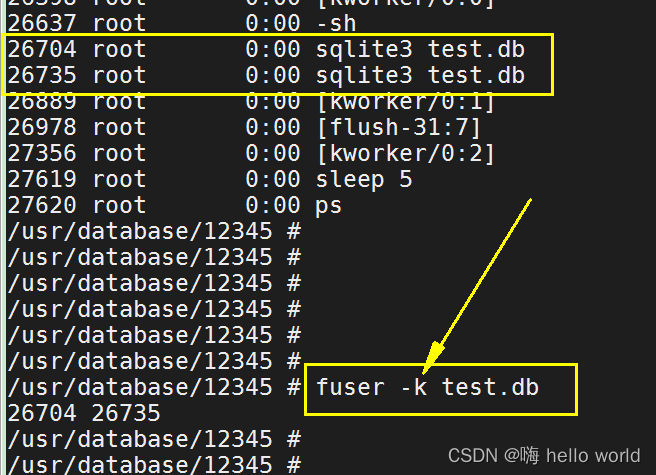 linux系统查看文件被那些进程占用&&快速杀死对应的进程_fuser查看文件占用-CSDN博客