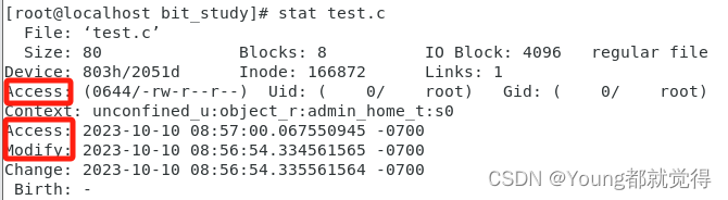 Linux基础常见指令-CSDN博客