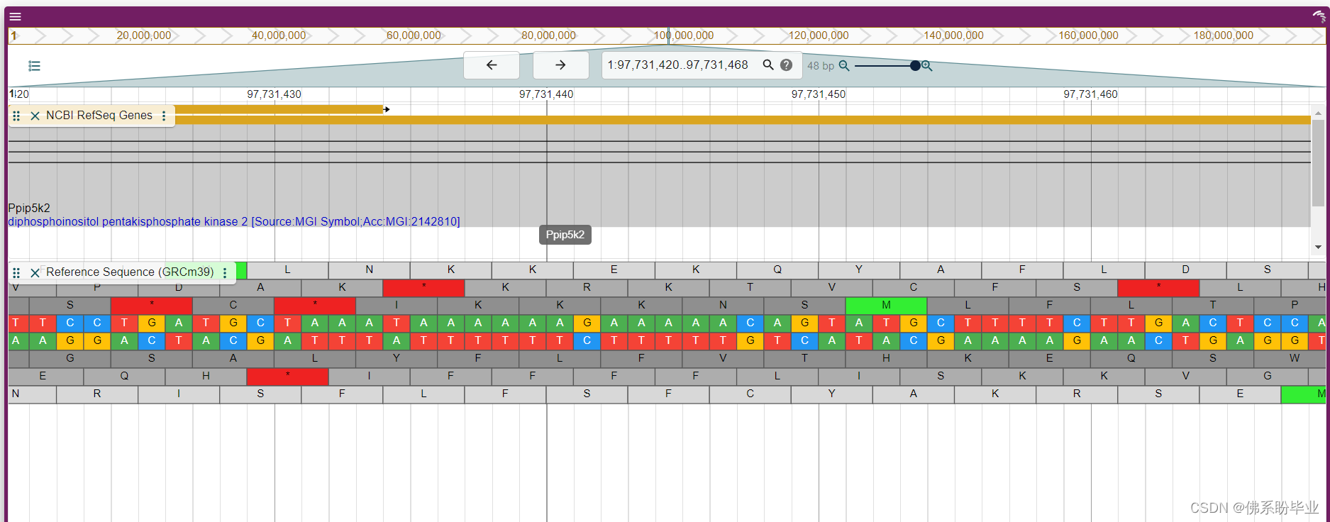 基于html 和javascript搭建基因组浏览器 ---Jbrowse（附代码，并说清楚踩坑之处）-CSDN博客
