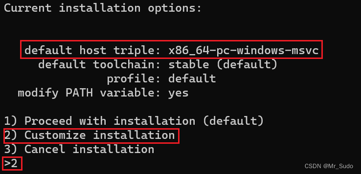 Windows 11安装Rust开发环境_win11安装rust_Mr_Sudo的博客-CSDN博客