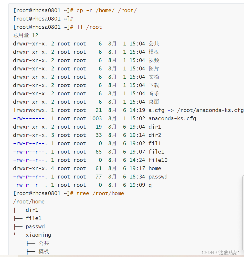 第二次作业-CSDN博客