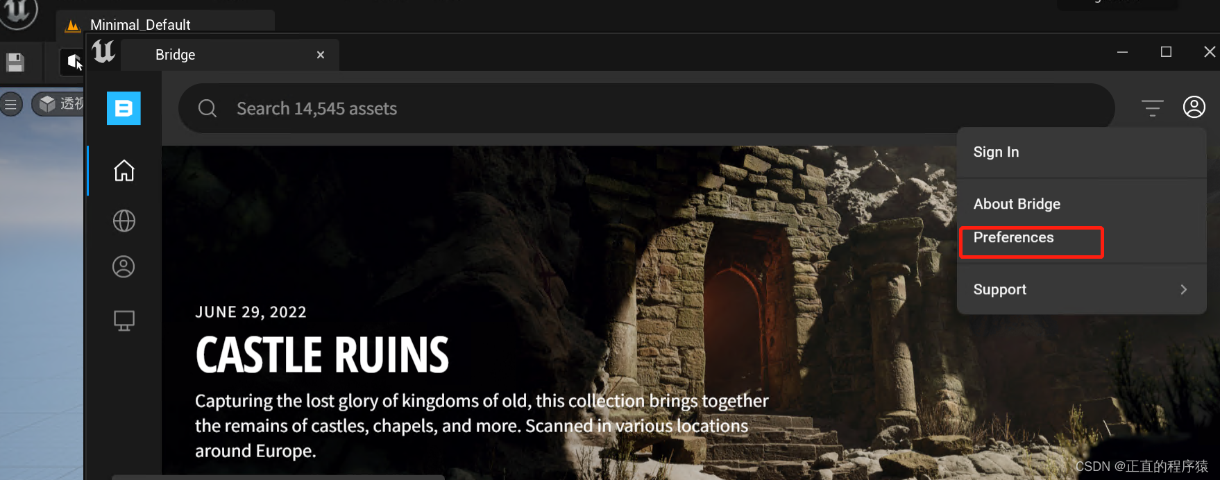 UE 基础环境安装与Bridge插件配置_ue bridge-CSDN博客