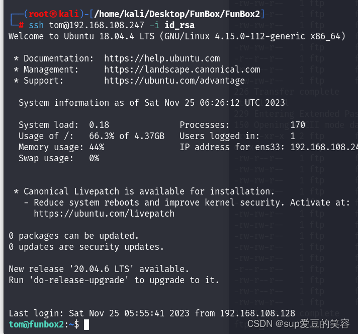 FunBox系列FunBox_2-CSDN博客