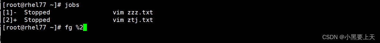 Linux命令(32)之fg_linux fg-CSDN博客