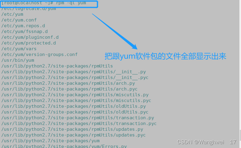 ‘Linux’应用安装（rpm和yum）_rpm安装yum-CSDN博客