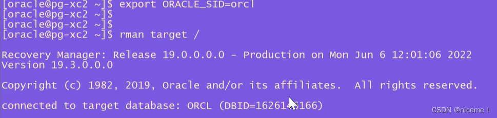 oracle 19c 容器数据库rman备份与恢复配置（一）_19c 备份还原-CSDN博客