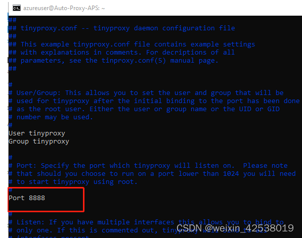 使用Tinyproxy在Azure搭建代理_azure tinyproxy-CSDN博客
