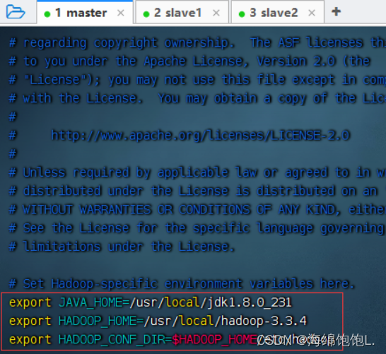 Hadoop集群构建（四）_hadoop-env.sh-CSDN博客