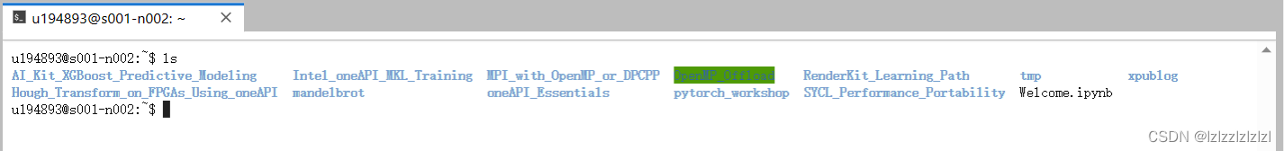 英特尔oneapi Pytorch 推理实验及性能对比oneapi Pytorch Csdn博客
